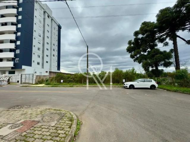 Terreno / Lote para Venda em Caxias do Sul/RS Vila Verde