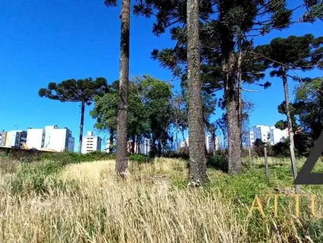 Terreno / Lote para Venda em Caxias do Sul/RS Vila Verde