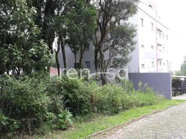 Terreno / Lote para Venda em Caxias do Sul/RS Vila Alpina