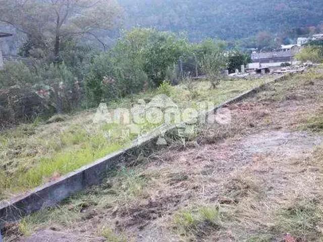 Terreno / Lote para Venda em Caxias do Sul/RS Vila Cristina