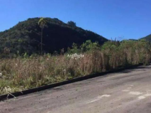 Terreno / Lote para Venda em Caxias do Sul/RS Vila Cristina