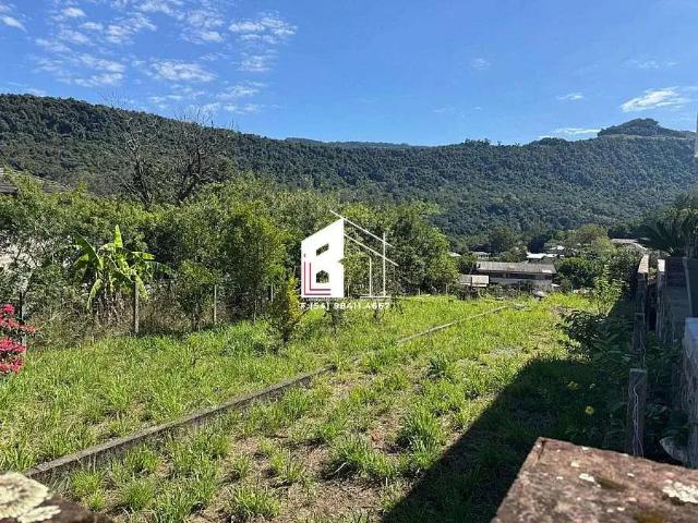 Terreno / Lote para Venda em Caxias do Sul/RS Vila Cristina
