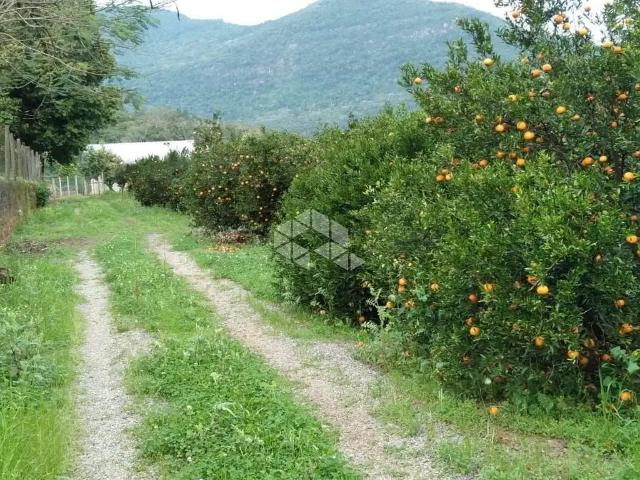 Terreno / Lote para Venda em Caxias do Sul/RS Vila Cristina