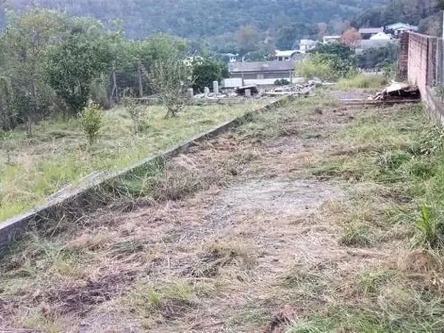 Terreno / Lote para Venda em Caxias do Sul/RS Vila Cristina