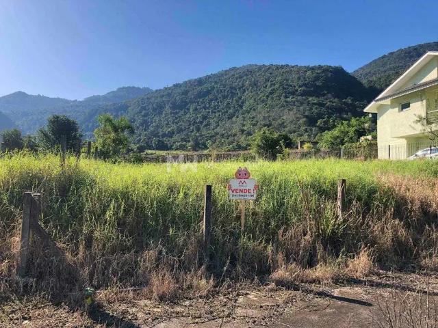 Terreno / Lote para Venda em Caxias do Sul/RS Vila Cristina