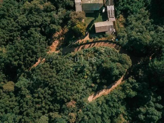 Terreno / Lote para Venda em Caxias do Sul/RS Vila Oliva Distrito