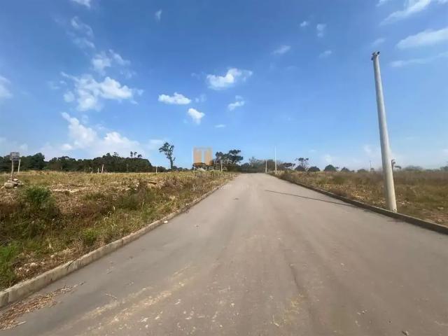 Terreno / Lote para Venda em Caxias do Sul/RS Vila Oliva Distrito