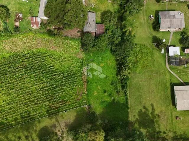 Terreno / Lote para Venda em Caxias do Sul/RS Vila Oliva Distrito