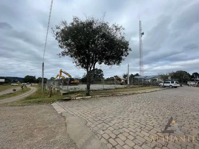 Terreno / Lote para Venda em Caxias do Sul/RS Vila Seca