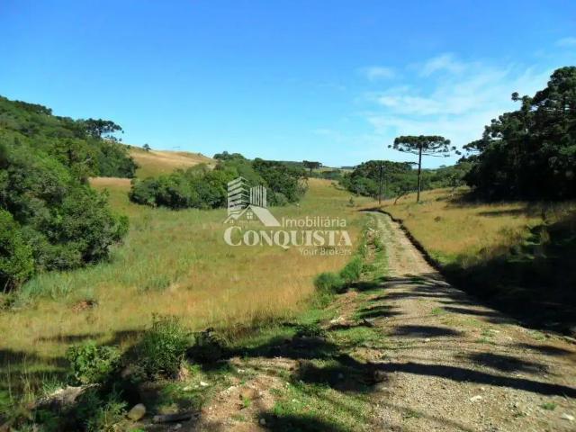 Terreno / Lote para Venda em Caxias do Sul/RS Vila Seca