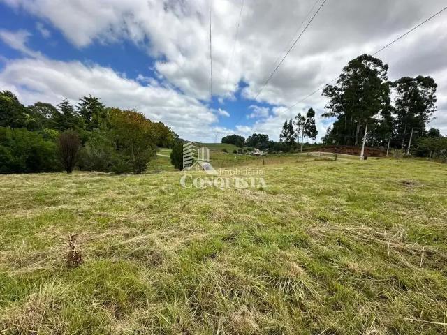 Terreno / Lote para Venda em Caxias do Sul/RS Vila Seca