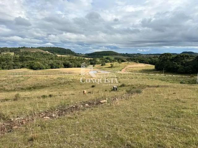 Terreno / Lote para Venda em Caxias do Sul/RS Vila Seca
