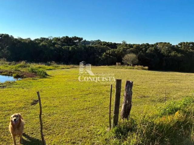 Terreno / Lote para Venda em Caxias do Sul/RS Vila Seca