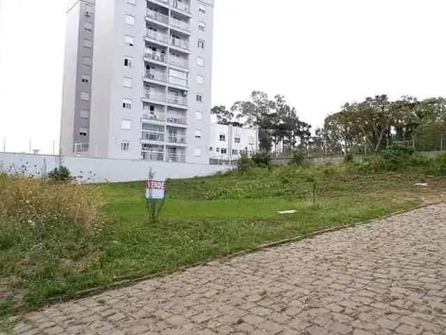 Terreno / Lote para Venda em Caxias do Sul/RS Vinhedos