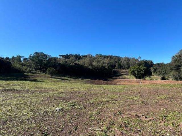 Terreno / Lote para Venda em Caxias do Sul/RS Vinhedos