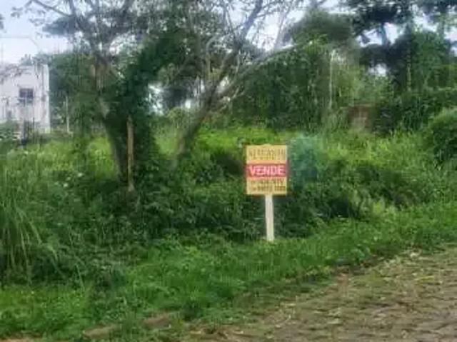 Terreno / Lote para Venda em Caxias do Sul/RS Vinhedos
