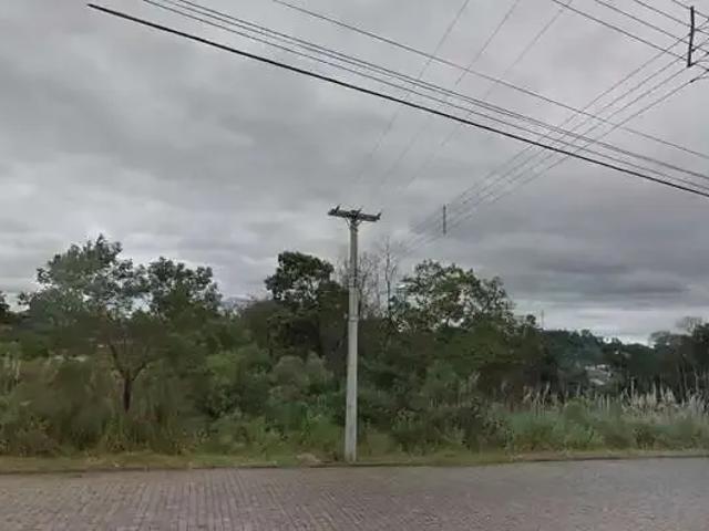 Terreno / Lote para Venda em Caxias do Sul/RS Vinhedos