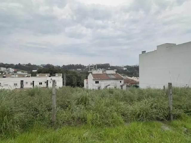Terreno / Lote para Venda em Caxias do Sul/RS Vinhedos