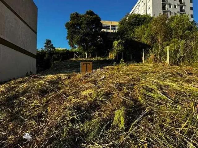 Terreno / Lote para Venda em Caxias do Sul/RS Vinhedos