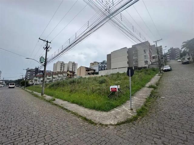 Terreno / Lote para Venda em Caxias do Sul/RS Vinhedos