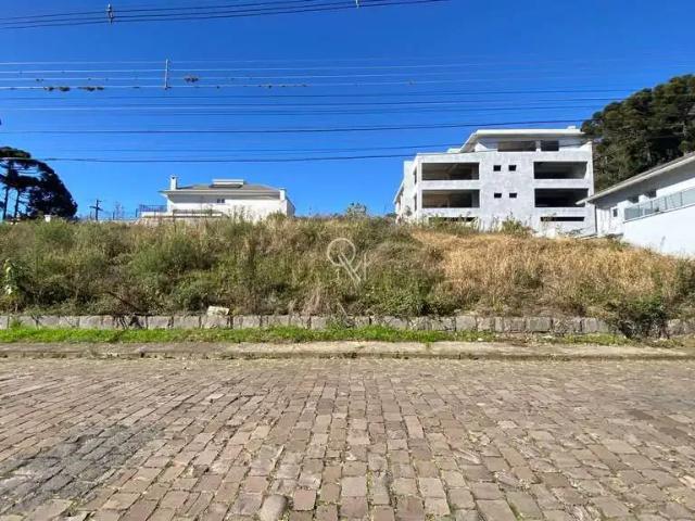 Terreno / Lote para Venda em Caxias do Sul/RS Vinhedos
