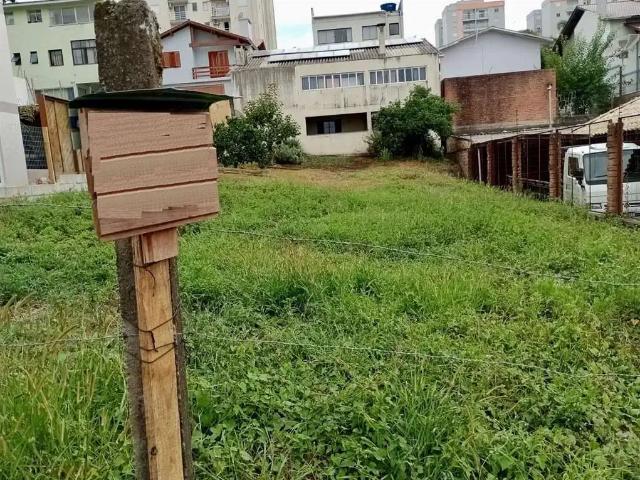 Terreno / Lote para Venda em Caxias do Sul/RS Vinhedos