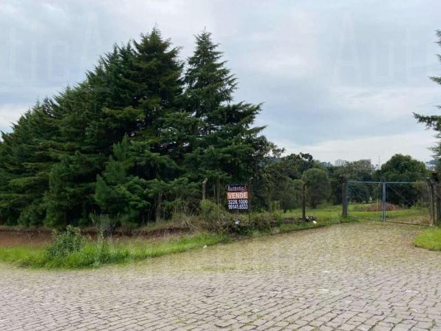 Terreno / Lote para Venda em Caxias do Sul/RS Vinhedos