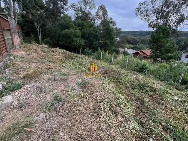 Terreno / Lote para Venda em Caxias do Sul/RS Vinhedos