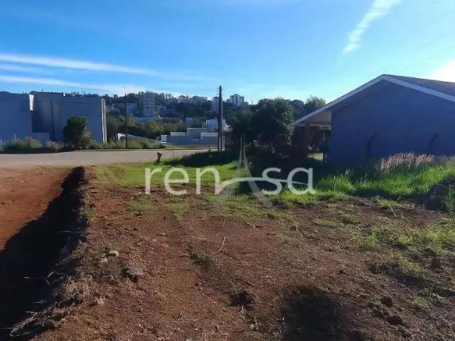 Terreno / Lote para Venda em Caxias do Sul/RS Vinhedos