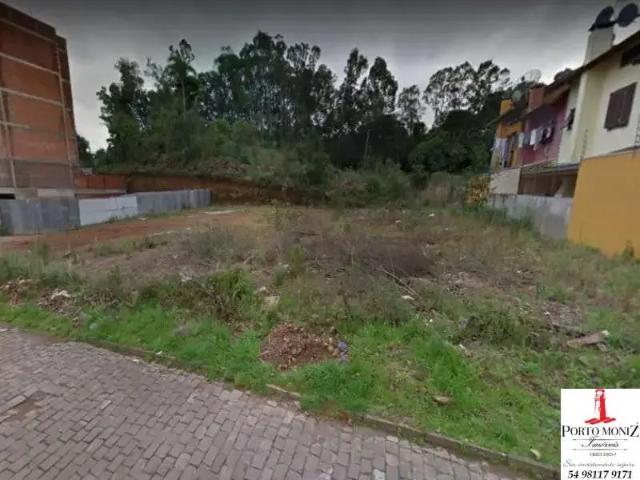 Terreno / Lote para Venda em Caxias do Sul/RS Vinhedos