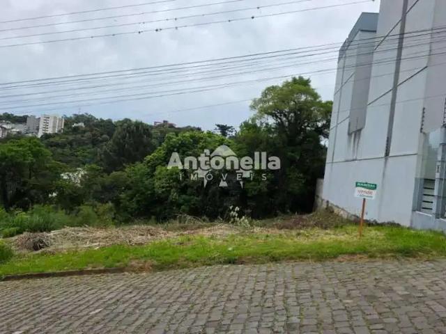 Terreno / Lote para Venda em Caxias do Sul/RS Vinhedos