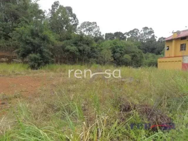 Terreno / Lote para Venda em Caxias do Sul/RS Vinhedos