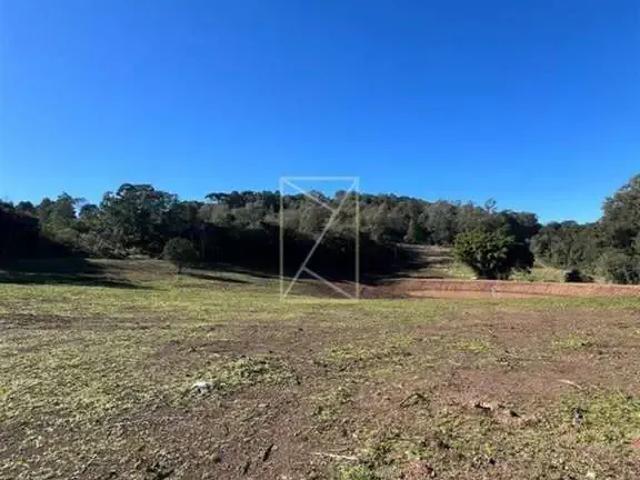Terreno / Lote para Venda em Caxias do Sul/RS Vinhedos
