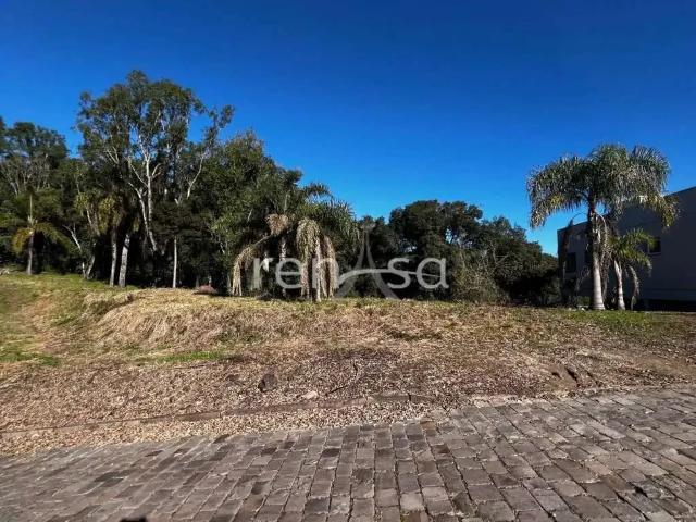Terreno / Lote para Venda em Caxias do Sul/RS Vinhedos