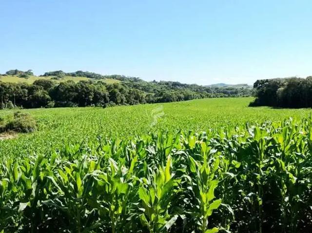 Terreno / Lote para Venda em Caxias do Sul/RS Zona Rural