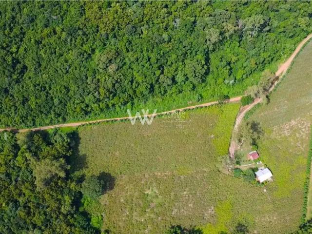 Terreno / Lote para Venda em Caxias do Sul/RS Zona Rural