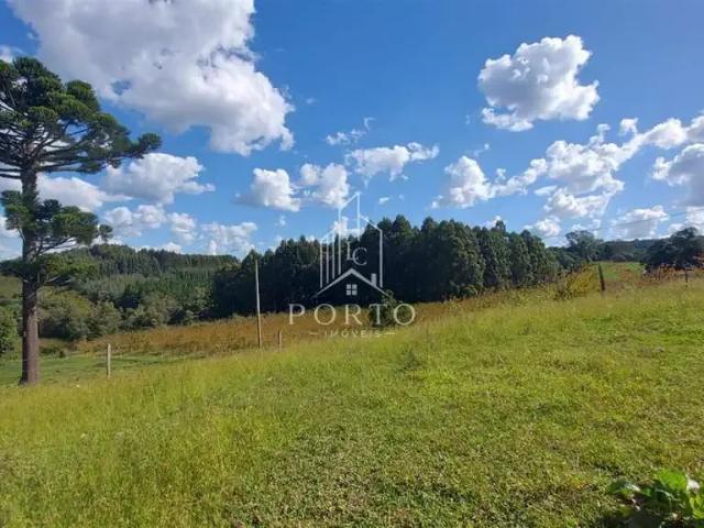 Terreno / Lote para Venda em Caxias do Sul/RS Zona Rural