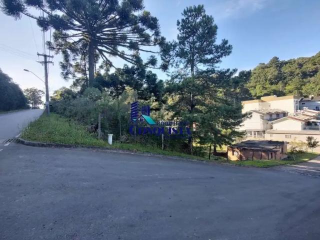 Terreno / Lote para Venda em Caxias do Sul/RS Zorzi