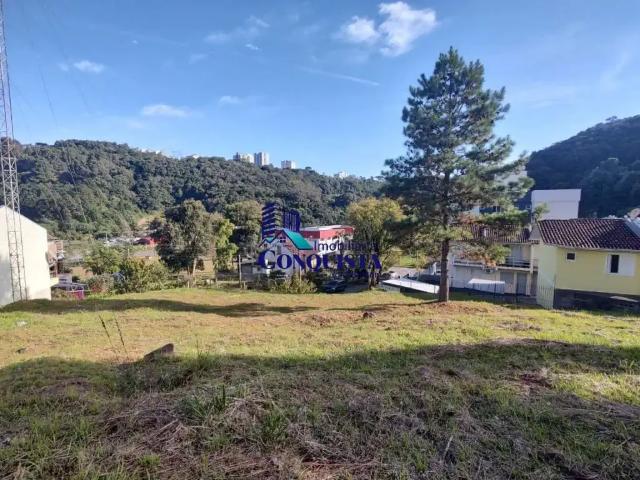 Terreno / Lote para Venda em Caxias do Sul/RS Zorzi