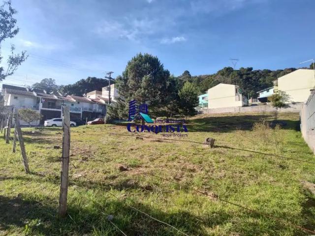 Terreno / Lote para Venda em Caxias do Sul/RS Zorzi