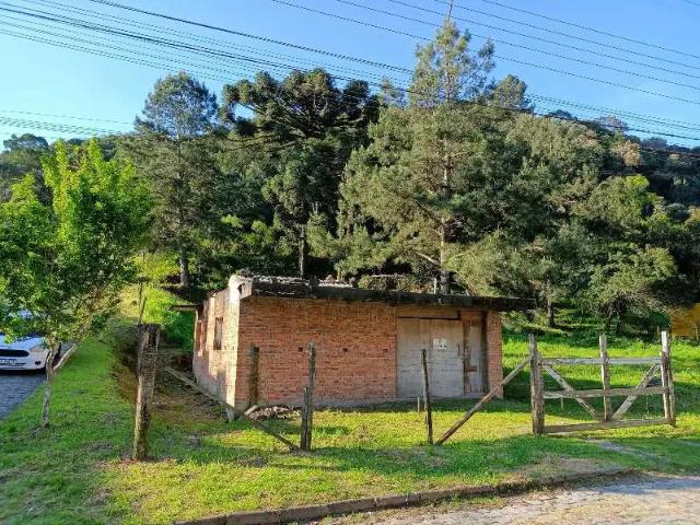 Terreno / Lote para Venda em Caxias do Sul/RS Zorzi