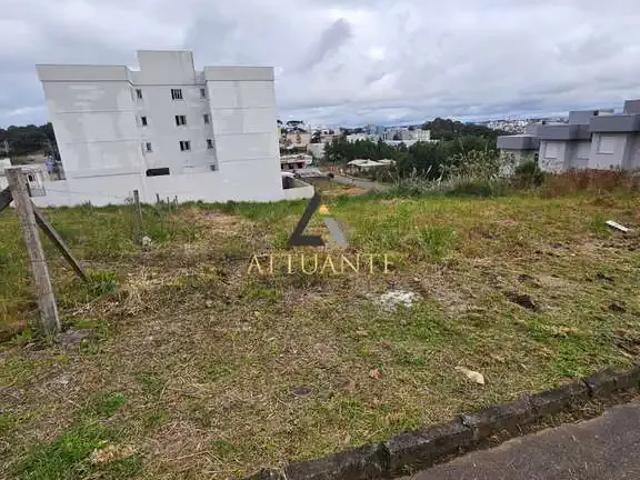 Terreno / Lote para Venda em Caxias do Sul/RS Zorzi