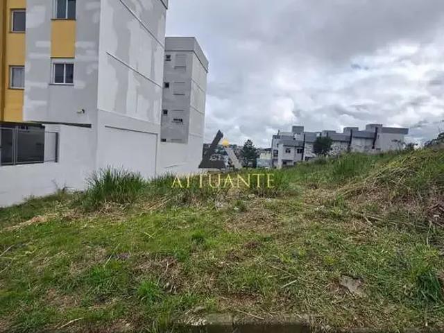 Terreno / Lote para Venda em Caxias do Sul/RS Zorzi