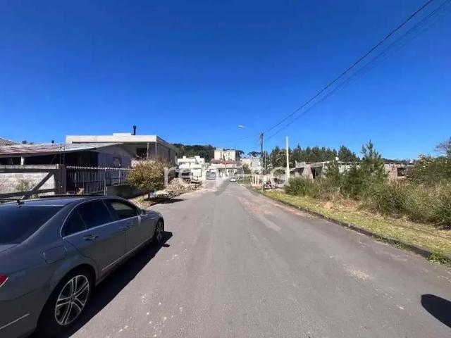 Terreno / Lote para Venda em Caxias do Sul/RS Zorzi
