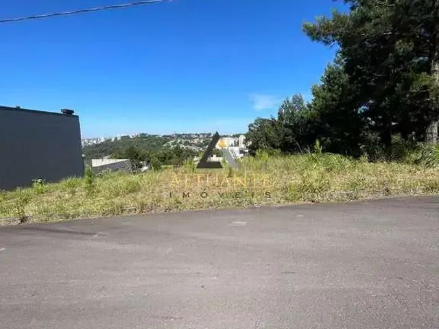 Terreno / Lote para Venda em Caxias do Sul/RS Zorzi
