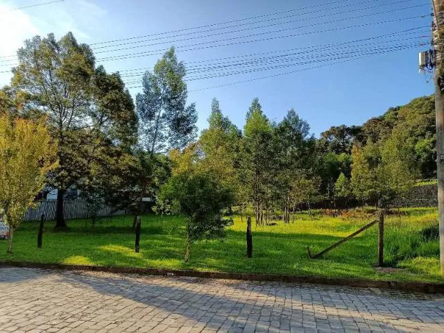Terreno / Lote para Venda em Caxias do Sul/RS De Zorzi
