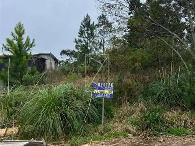 Terreno / Lote para Venda em Caxias do Sul/RS Zorzi