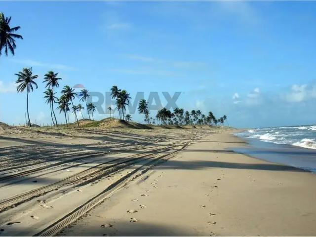 Terreno / Lote para Venda em Ceará Mirim/RN Muriú