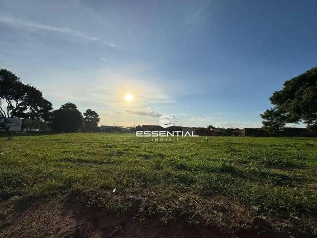 Terreno / Lote para Venda em Cedral/SP Centro