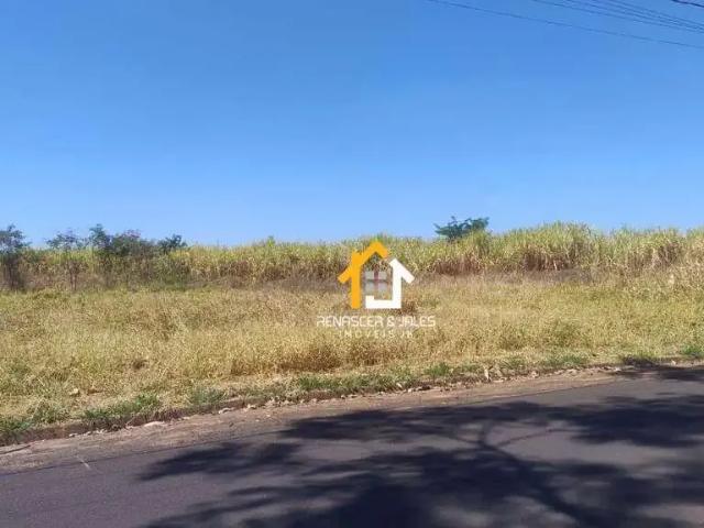 Terreno / Lote para Venda em Cedral/SP Distrito Industrial